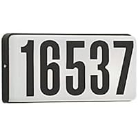 Amazon.com: Lighted LED Address Light, Low Voltage, Rust Free ...
