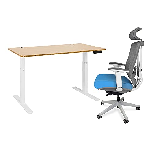 Autonomous Hybrid Dual Motor Height Adjustable Standing Desk and ...
