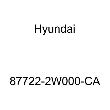 Amazon.com: Genuine Hyundai 87722-2W000-CA Door Garnish Assembly, Right ...