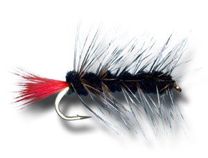 Amazon.com : Woolly Worm - Black Fly Fishing Fly : Wet Fishing Flies ...