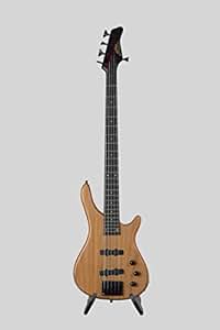 Amazon.com: New York Pro 5 String Bass Guitar: Musical Instruments