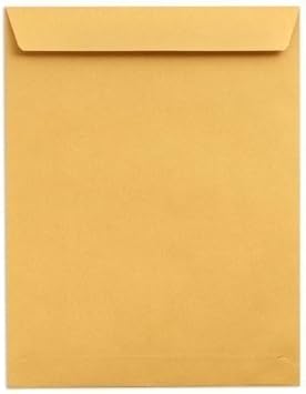 Quality Large Size Brown Kraft Envelopes, 254mm (Wide) x 380mm (Long ...