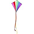 Amazon.com: New Tech Kites Rainbow Diamond Kite : Toys & Games