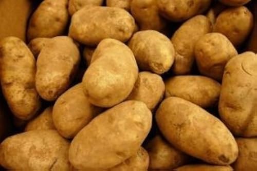 POTATOES RUSSET FRESH PRODUCE 10 LBS in Saudi Arabia | Whizz Potatoes ...