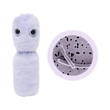 Amazon.com: GIANT MICROBES Lactobacillus Acidophilus Plush Toy: Toys ...