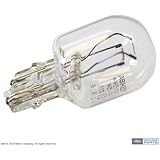 Amazon.com: Ford E5RY-13466-B - Bulb: Automotive