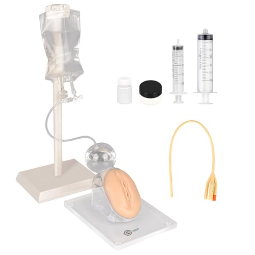Female Catheterization Simulator Set, Catheter Insertion Model for ...