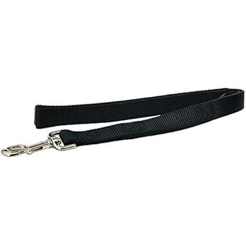 Amazon.com : Coastal Pet Products DCP904HRED Nylon Loops 2 Double ...