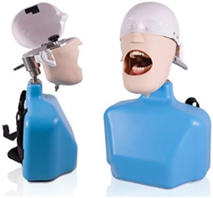 Dental Phantom Manikin Head, Simulator Unit Life-Size W/Teeth Model for ...