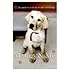 Marley: A Dog Like No Other: Amazon.co.uk: John Grogan: 9780007258048 ...