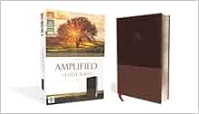 The Amplified Study Bible, Leathersoft, Brown [Large Print]: Zondervan ...