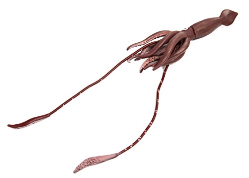 Safari Ltd Wild Safari Sea Life Giant Squid – Realistic Individually ...