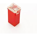 Amazon.com: Littelfuse (MCAS030.XP) MCASE Pink 32V 30 Amp Fuse: Automotive