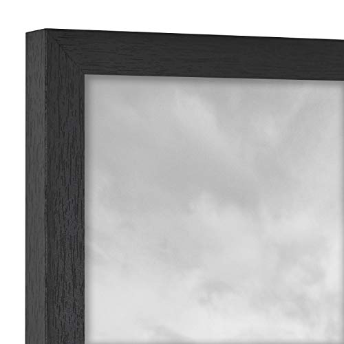 MCS Gallery Essential Certificate Document Frame Set, Gallery Wall ...