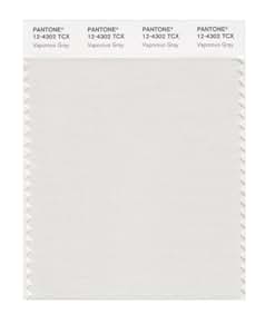 PANTONE SMART 12-4302X Color Swatch Card, Vaporous Gray - House Paint ...