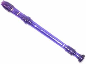 Amazon.com: Woodnote Translucent Purple Soprano Recorder Flute ...