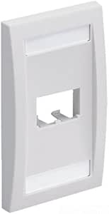 Amazon.com: Panduit CFPE2WHY 1-Gang 2-Port Faceplate, White : Electronics