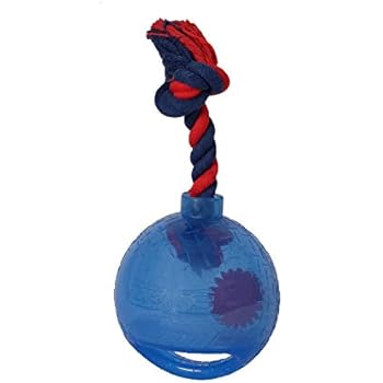 Pet Supplies : ZEUS LED Bomb Spike Ball, Large Dog Toy, Black (Color ...