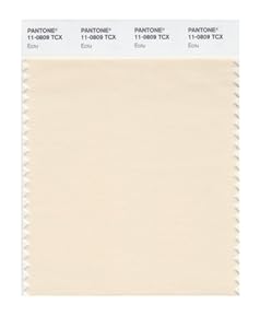 PANTONE SMART 11-0809X Color Swatch Card, Ecru - House Paint - Amazon.com