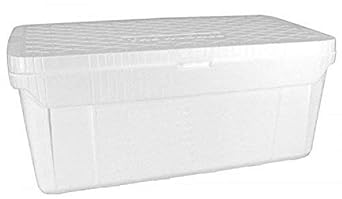 Amazon.com: Air Sea Containers Large Insulated Styrofoam Cooler (33"x16 ...