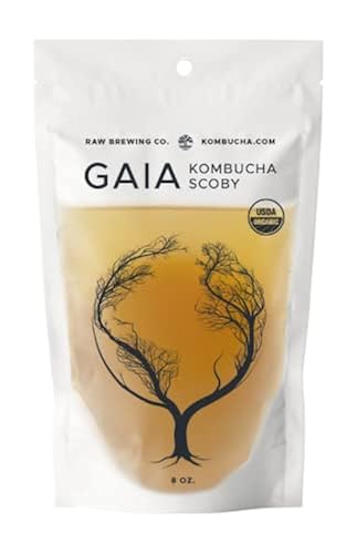 Kombucha.com Certified Organic EXTRA LARGE Kombucha Scoby (Gaia ...