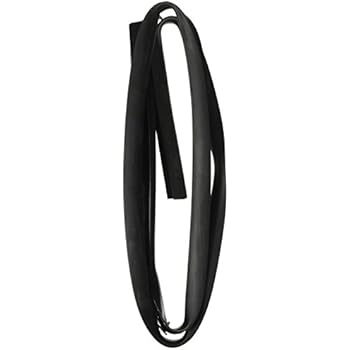 Amazon.com: Genuine GM 15914596 Door Weatherstrip, Lower Front, Rear ...