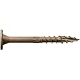 Amazon.com: Simpson Strong-Tie SDWS22600DB Strong-Drive SDWS Timber ...