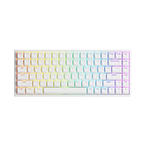 Akko Keycaps Top Printed Shine-Through with ASA Profile, White Keycaps ...