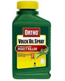 Ortho Volck Oil Spray Concentrate - Pint 0168160 (Discontinued by ...
