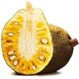 Amazon.com: Fresh Whole Jackfruit (One Fruit 5-7 Lbs)