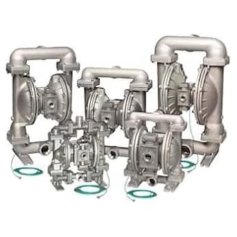 Warren G20B1ABTXNSX00 Rupp bomba de doble diafragma de gas natural ...