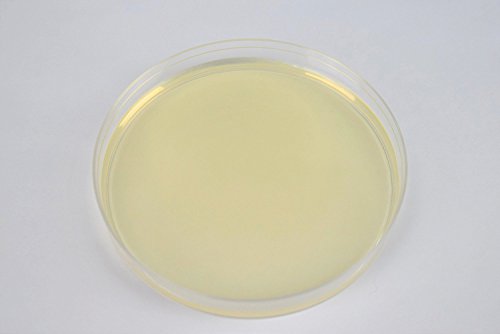 Potato Dextrose Agar (PDA), (10-Pack), Pre-Poured, - Want It All