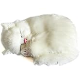 Amazon.com: Pack of 5 Realistic Furry Baby Cats Figurines Simulation ...