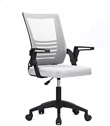 AnneFish Comfortable Office Chair Ergonomic Low Back Mesh Chair with ...