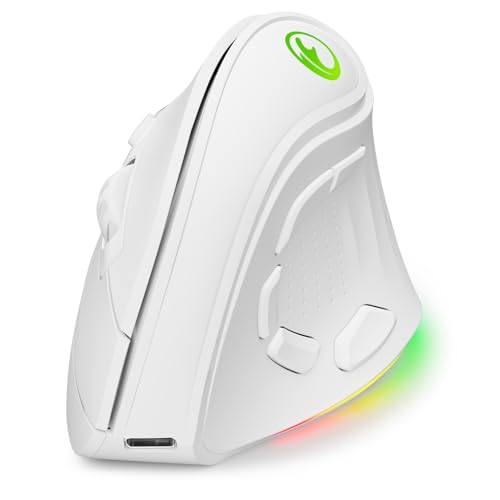 IFYOO 2.4G and BT 5.1 Dual Mode RGB Rechargeable Wireless Vertical ...
