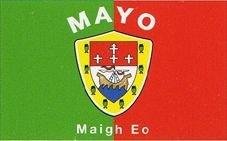 Amazon.com : Mayo Ireland County Flag : Outdoor Flags : Garden & Outdoor
