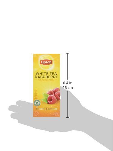 Lipton White Tea with Raspberry, 28-count (Pack of 6) | Pricepulse