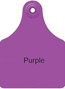 Amazon.com: Allflex Global Large Blank Cattle Ear Tags 25 Ct Purple ...