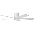 Amazon.com: Home Decorators Collection Britton 52 in. Integrated LED ...