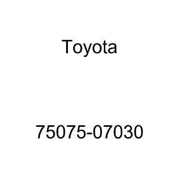 Amazon.com: Genuine Toyota 75075-0E050 Door Molding Sub-Assembly ...