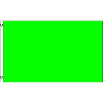 Amazon.com : Neon Green Solid Color 3x5 ft Polyester Flag : Garden ...