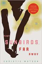 Tiny Sunbirds Far Away A Novel Watson Christie Amazon Ca Books