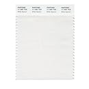 Amazon.com: Pantone 11-1001 TCX Smart Color Swatch Card, White Alyssum ...