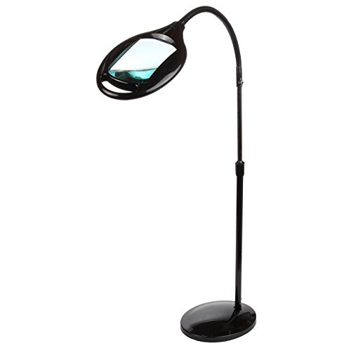 Buy Brightech LightView Pro LED Magnifying Floor Lamp - Daylight Bright ...