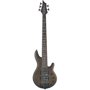 Amazon.com: Traben Basses Chaos Core 5 Series TRACA5G 5-String Bass ...