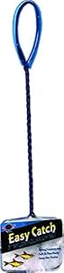 Amazon.com: Blue Ribbon Pet Products ABLEC3 Easy Catch Fish Net, 3-Inch ...