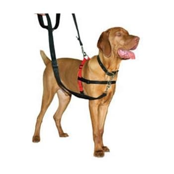 Amazon.com : Petnovate Jump Stop No Jump Dog Harness, Large L2 (Silver ...