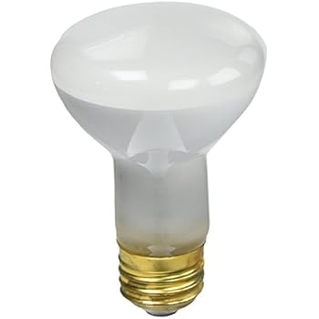 (Pack Of 6) 30R20/FL 120V - 30 Watt R20 Flood - E26 Base 30W - Light Bulbs - - Amazon.com