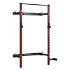 Mikolo 2.36'' x 2.36'' Folding Wall Mounted Squat Rack, 1000 Pounds ...