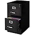 Amazon.com : Realspace 22"D 2-Drawer Metal Vertical File Cabinet, Putty ...